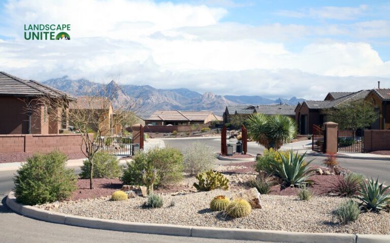 Top 10 benefits of xeriscaping: smart landscaping choice