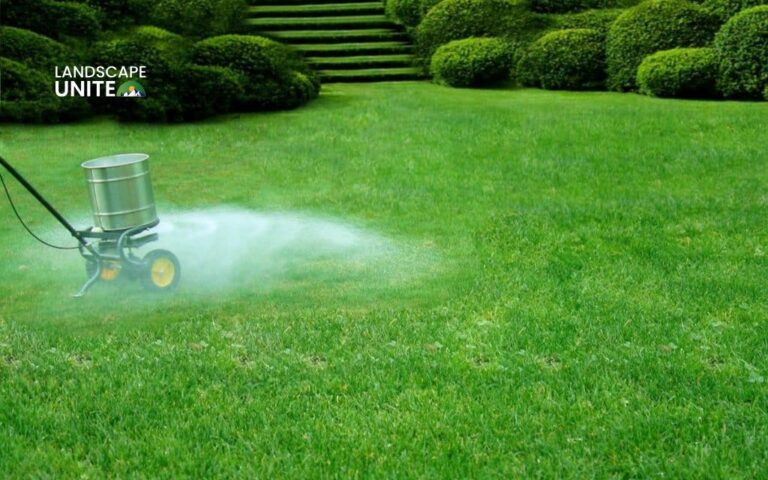 How to Winterize Plants? 6 Steps to Garden Success