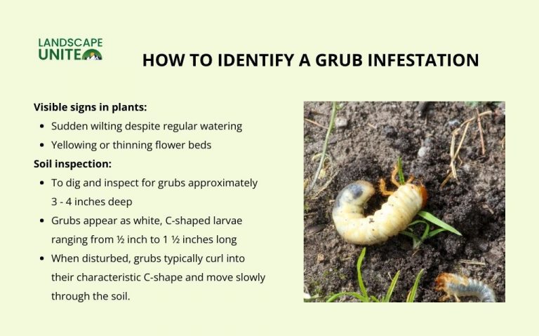 Grubs in Flower Beds Harming Your Yard? Here's How to Stop