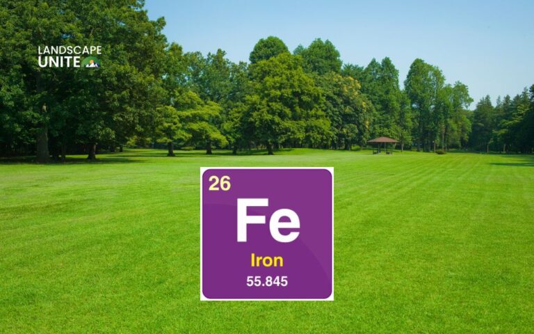 When to Apply Iron to Lawn for Best Results?