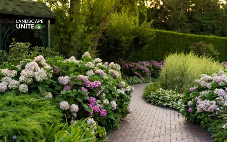 Landscaping with Hydrangeas Made Easy: 14 Ideas That Work