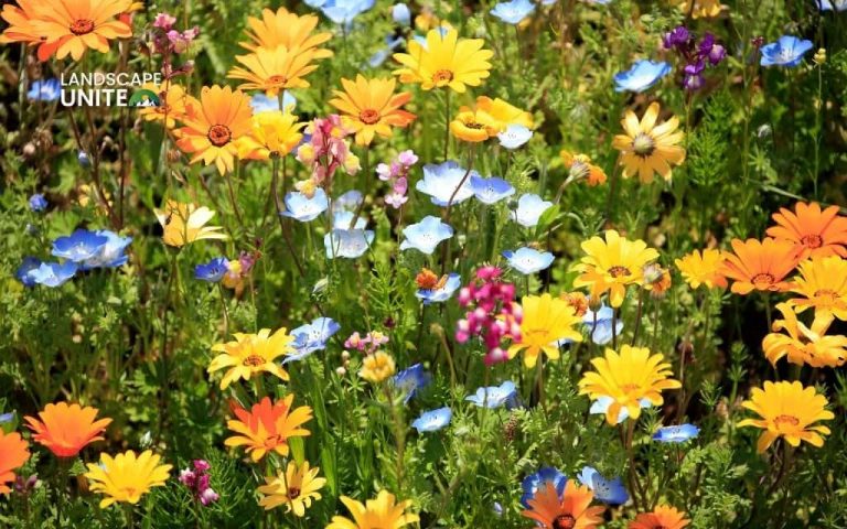 20+ Best Spring Flower Beds Ideas for a Colorful Garden