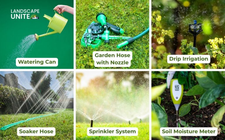 Watering flowers: Explore the art with this complete guide