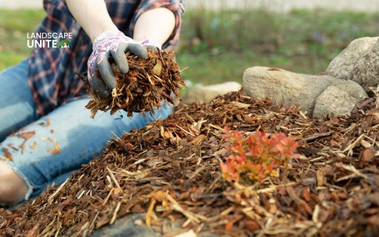 Planting Bark Made Simple: A Friendly Guide to Better Soil