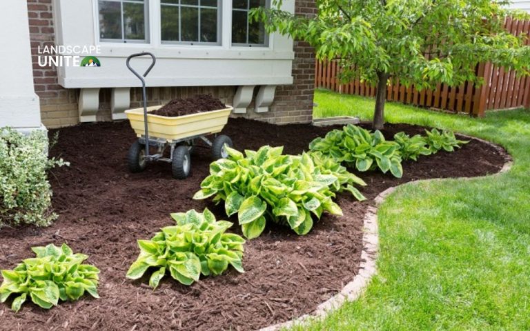 Low maintenance flower beds: Top 12 best plans for your yard